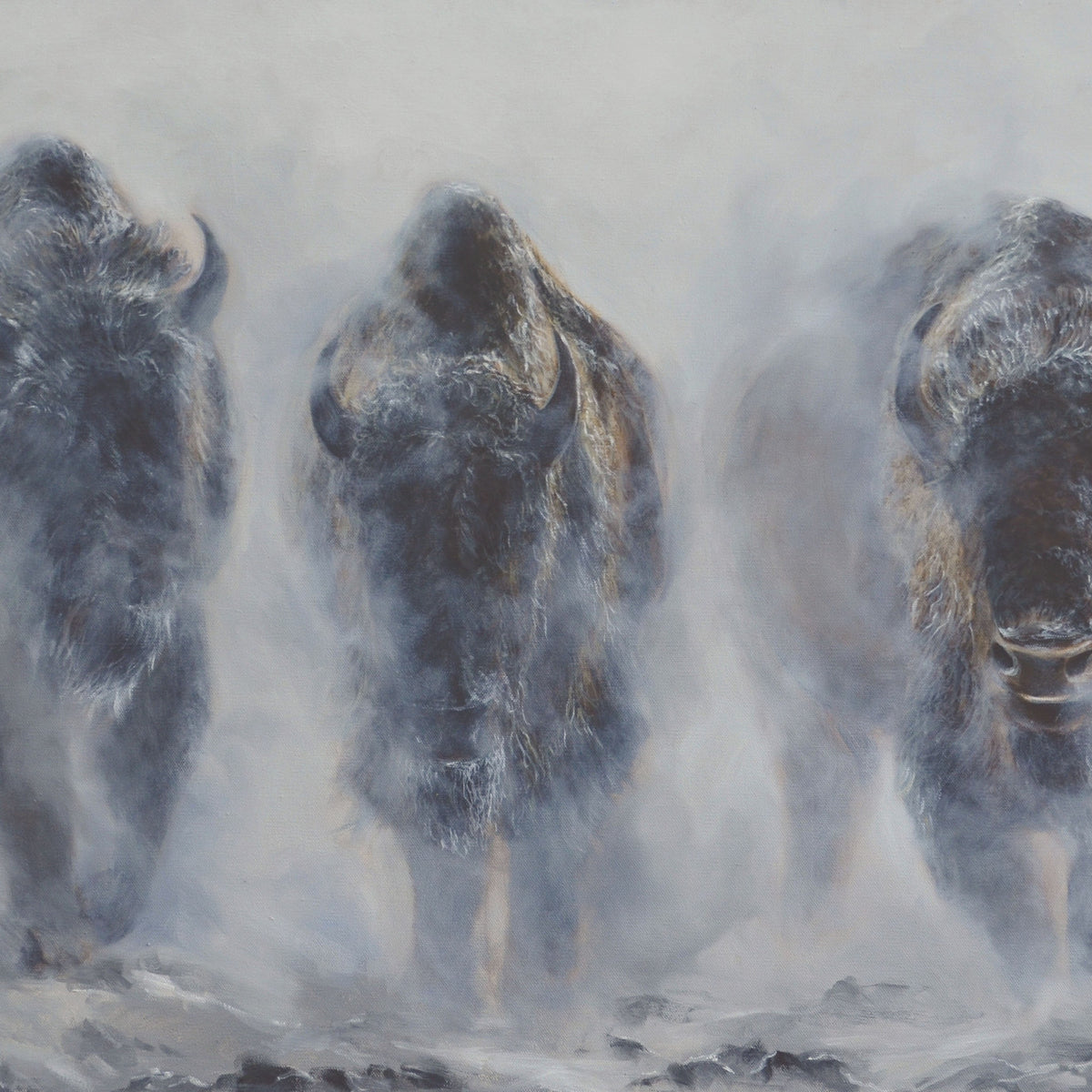 Limited Edition Prints – James Corwin Fine Art - Wildlife Artist