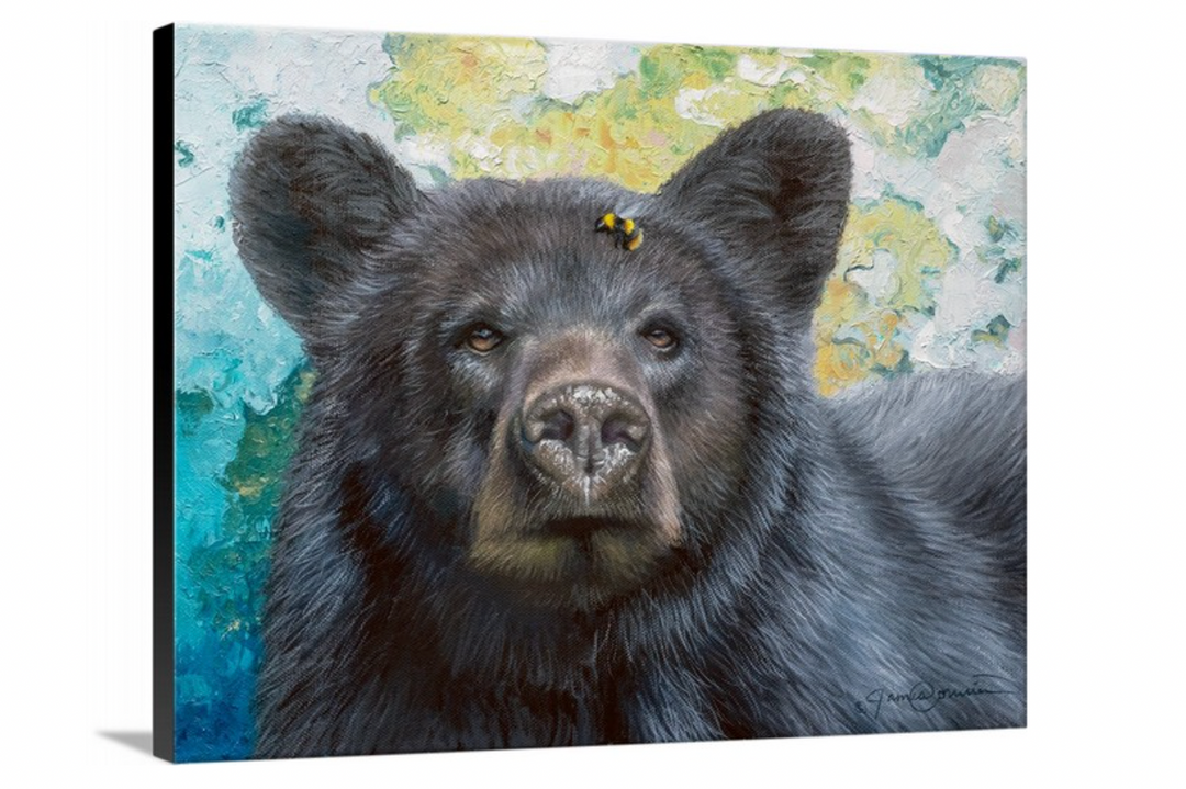 Bumblebee Bear - Open Edition Print – James Corwin Fine Art - Wildlife Artist