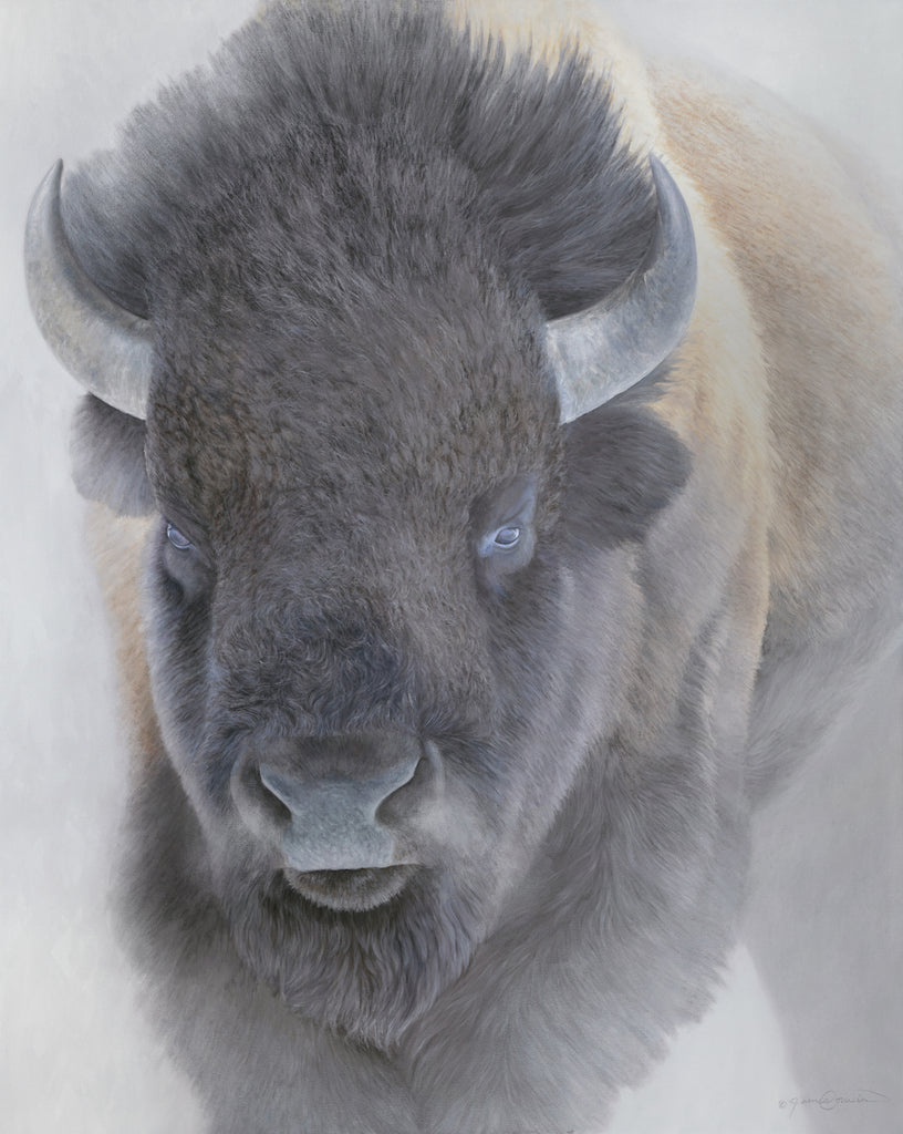 Big Bison – James Corwin Fine Art - Wildlife Artist