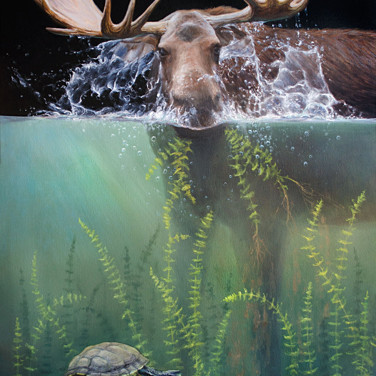 Make Way - First in Series – James Corwin Fine Art - Wildlife Artist