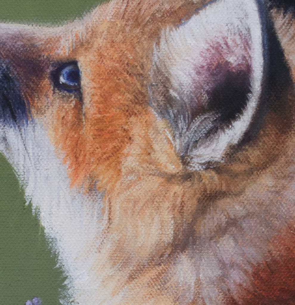 Little Fox and Bumblebee - Open Edition – James Corwin Fine Art ...