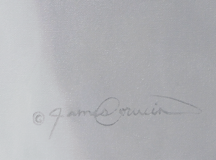 Big Bison – James Corwin Fine Art - Wildlife Artist