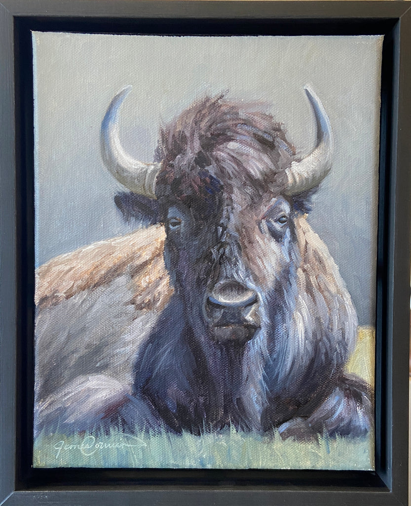 Kevin – James Corwin Fine Art - Wildlife Artist